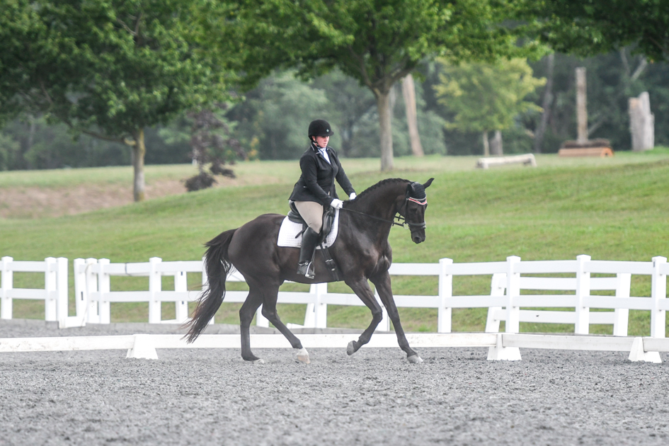 Oh So – Everything Eventing